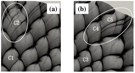 Detonation Cell Diverging In Case B A Abrupt Pattern And B Gradual Download Scientific