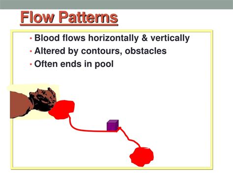 Ppt Blood Evidence In Forensics Collection Analysis And Interpretation Powerpoint Presentation