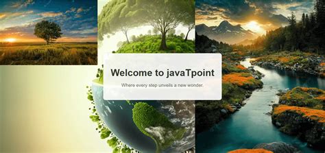 PropriÉtÉ Css De Taille DarriÈre Plan Tutoriel Css