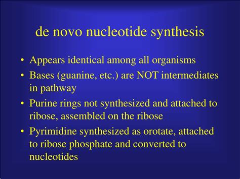 Ppt Biosynthesis And Degradation Of Nucleotides Powerpoint