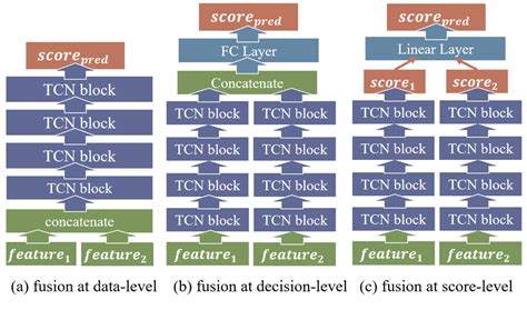 illustration of three modality fusion methods download scientific