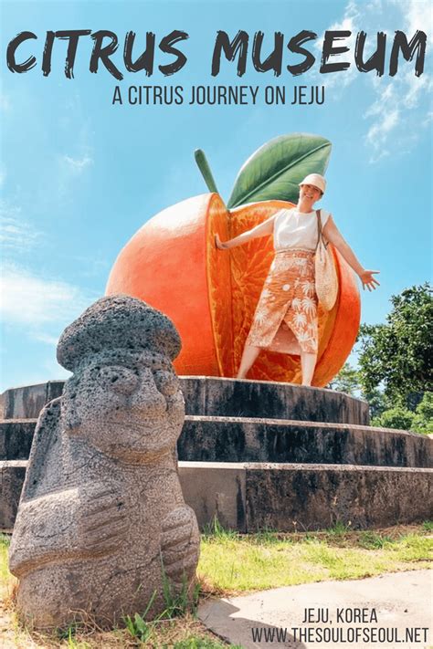 Jeju Citrus Museum Where To Begin Your Jeju Hallabang Journey The