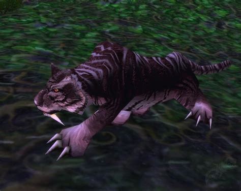 Nightsaber Npc Cataclysm Classic