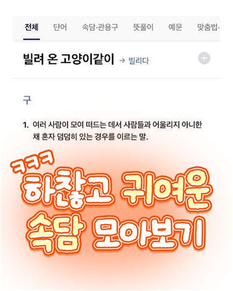 일상의 모든것 유머·공감·정보·꿀팁 2025년 고백하기 좋은 날 미리 알아놓고 도전하자🔥 고백데이 고백하기좋은날 고백하기 백일 기념일 고백멘트 썸타기