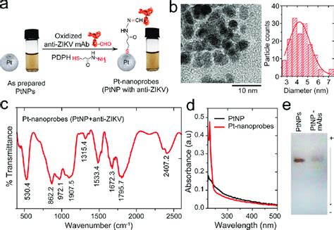 Pt Nanomotor Preparation And Characterization A Schematic Download Scientific Diagram