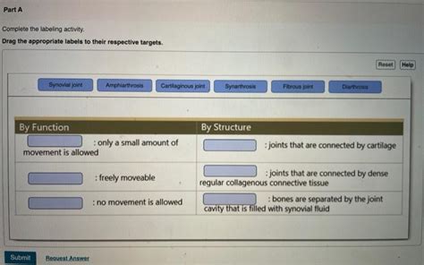 solved part a complete the labeling activity drag the