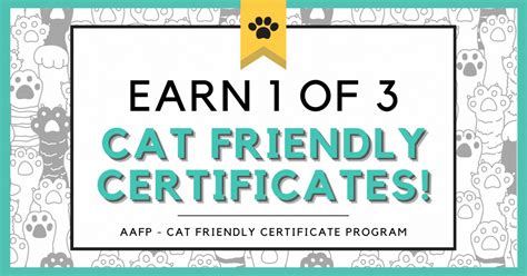 American Association Of Feline Practitioners Aafp On Linkedin Cat Ce