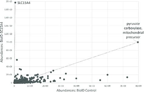 intensity correlation plot between bioid experimental samples and