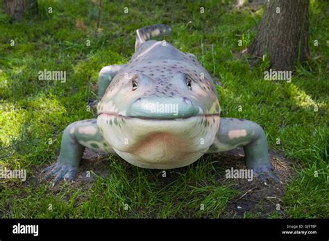Mastodonsaurus Giganteus Banque De Photographies Et Dimages à Haute