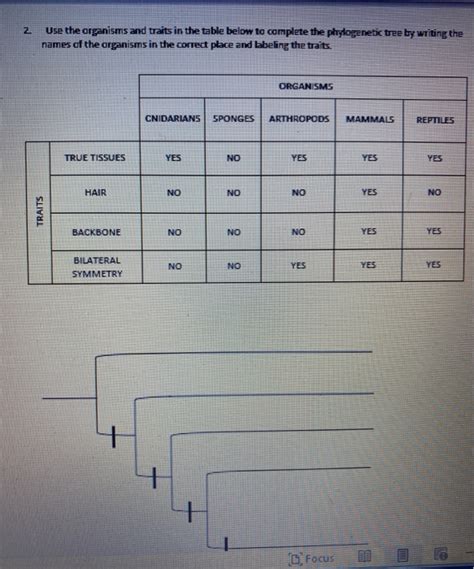 Solved Constructing A Phylogenetic Tree Use The Organisms Chegg Com