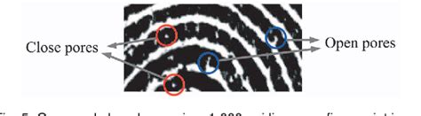 Figure 5 From Pores And Ridges High Resolution Fingerprint Matching Using Level 3 Features