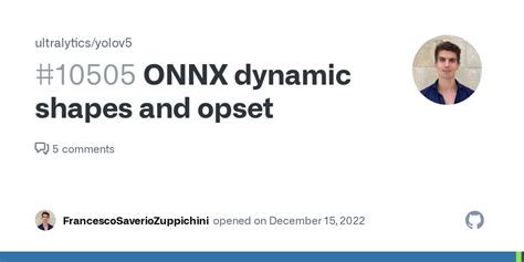 Onnx Dynamic Shapes And Opset · Issue 10505 · Ultralyticsyolov5 · Github