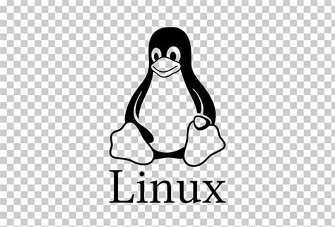 Linux Everything Is A File Computer Software Ubuntu Png Clipart Area Artwork Beak Bird