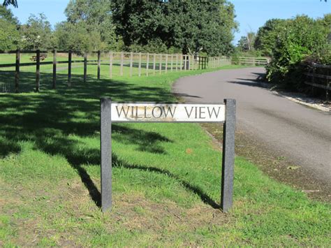 Tree Road Name Postimages