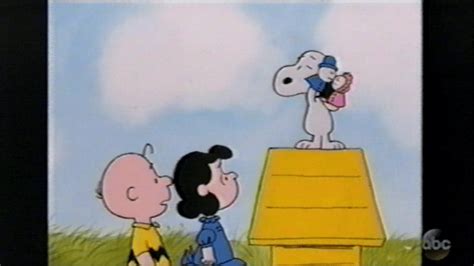 February 10 2017 Abc Broadcast Archive Wiki Fandom