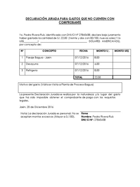 Declaración Jurada De Gastos Pdf Business