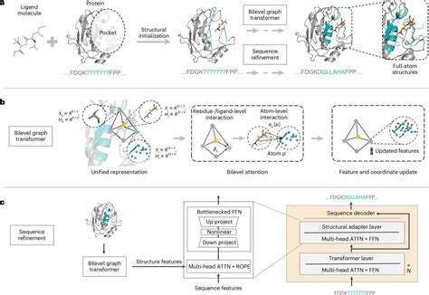 New Algorithm For Functional Protein Design Outperforms Traditional Methods