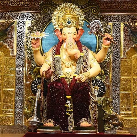 Lalbaughcharaja Anshu Tiwari