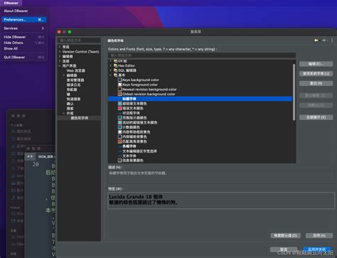 Mac版dbeaver调整编辑窗口字体大小dbeaver窗口大小调整 Csdn博客 Mac版dbeaver调整编辑窗口字体大小dbeaver窗口大小调整 Csdn博客