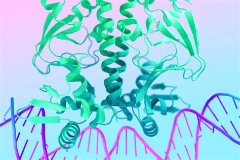 new ai alphafold 3 predicts all of life s molecule structures says