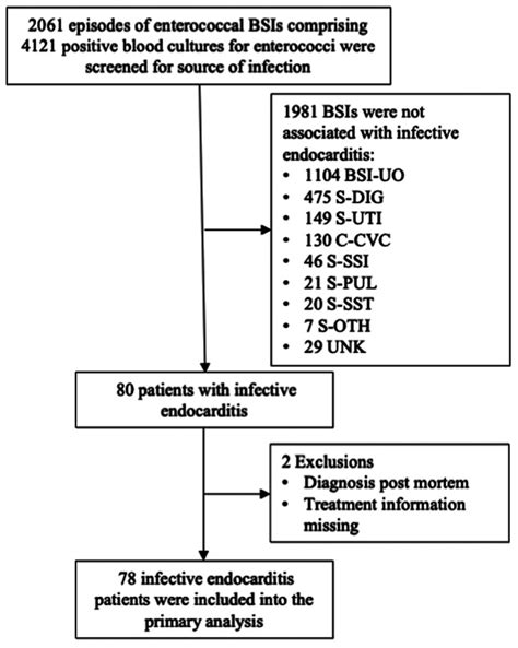 25 Years Of Experience On The Management Of Enterococcal Infective Endocarditis An Observational