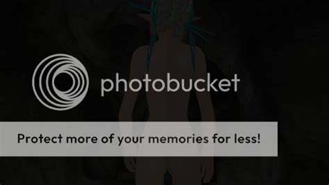 Texture Issues Technical Support Loverslab