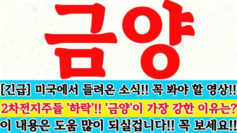 금양 긴급 미국에서 들려온 소식 꼭 봐야 할 영상2차전지주들 하락 금양이 가장 강한 이유는이 내용은 도움 많이 되실겁니다 꼭 보세요