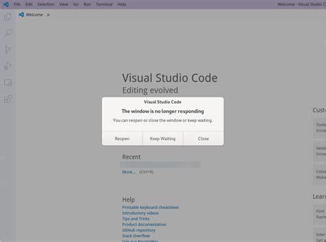 VSCode Freezes Randomly When Opening Or Restarting Issue Flathub Visualstudio Code