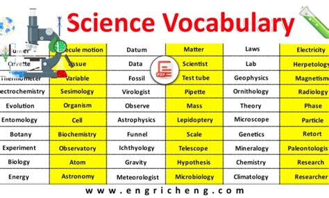 Science Vocabulary In English Enricheng