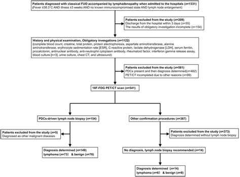 Flow Diagram Of Participants Of Patients Under The Standard Diagnostic Download Scientific