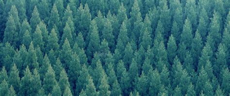 Best Practices In Test Automation With Cypress Dev Community