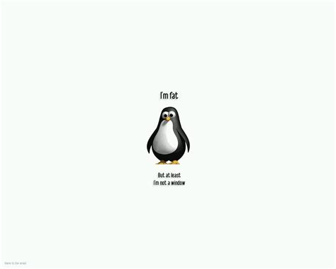 Funny Quotes Wallpapers Top Free Funny Quotes Backgrounds