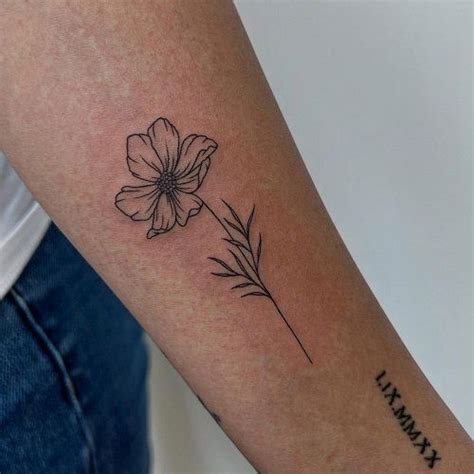 30 Cosmos Flower Tattoo Ideas Balcony Garden Web