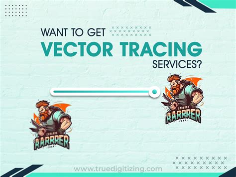 Understanding Vector Files What They Are And Uses