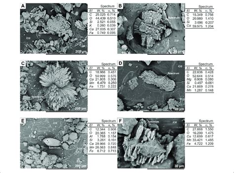 Morphology Of The Authigenic Carbonates Under Sem Edx El Element W
