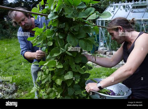 Self Sufficient Farmers Father And Son Team Dick And James Strawbridge