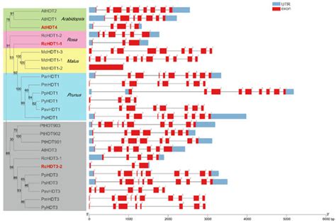 Ijms Special Issue Comparative Genomics And Functional Genomics Analysis In Plants