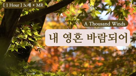 내 영혼 바람되어 김효근 곡 1시간 연속듣기 Youtube