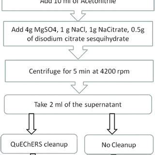 Schematic Diagram Representing Sample Preparation Workflow Download Scientific Diagram