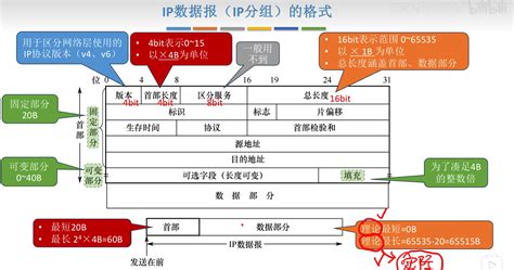 ip数据报 ip数据包 csdn博客