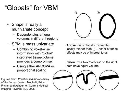 Ppt Voxel Based Morphometry With Unified Segmentation Powerpoint