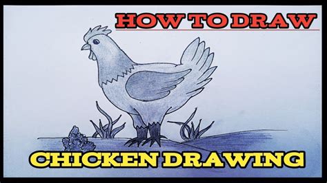 Beautiful Hen Drawing Tutorial How To Draw Hen In Easy Steps Youtube