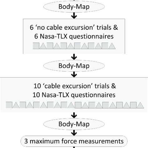 Experimental Procedure The Flowchart Of The Experimental Procedure