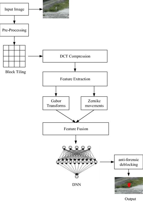 The Schematic Representation Of Proposed Methodology Download Scientific Diagram