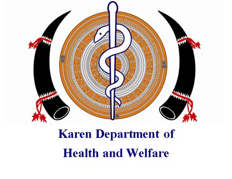 Ehssg The Ethnic Health System Strengthening Group