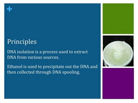 Dna Isolation Pptx