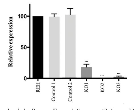 Figure 1 From Etv6runx1 Fusion Gene Abrogation Decreases The