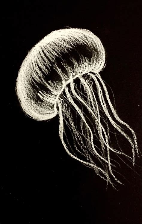 Dibujo Con Lápiz Blanco En Hoja Negra