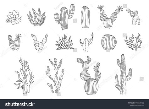 Cactus Outline