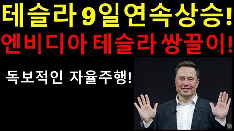 테슬라 9일연속 상승 엔비디아 테슬라 넘어섰다 테슬라와 엔비디아 둘은 왜 강한가 웨이모가 테슬라 자율주행을 앞섰다 장단점 분석 비교 미국주식 폭락이 다가 오나